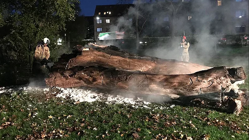 Træ i brand: Beboere vækket af larm fra kædesav | TV 2 Kosmopol Træ i brand: Beboere vækket af larm fra kædesav | TV 2 Kosmopol